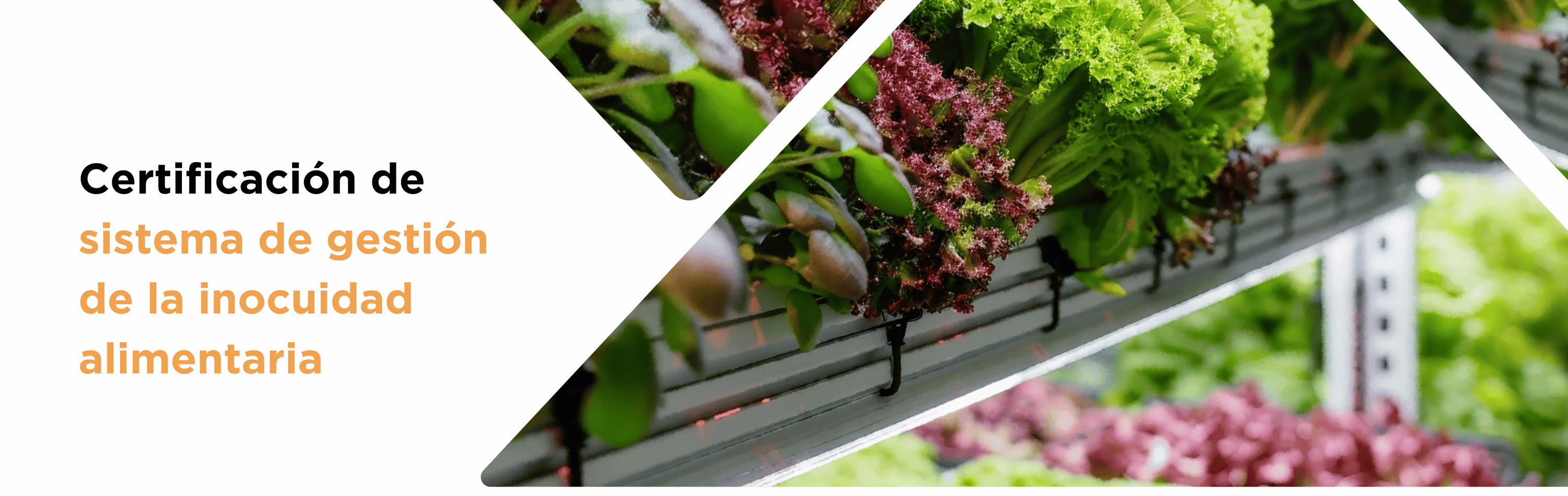 Sistema de gestión de la inocuidad alimentaria